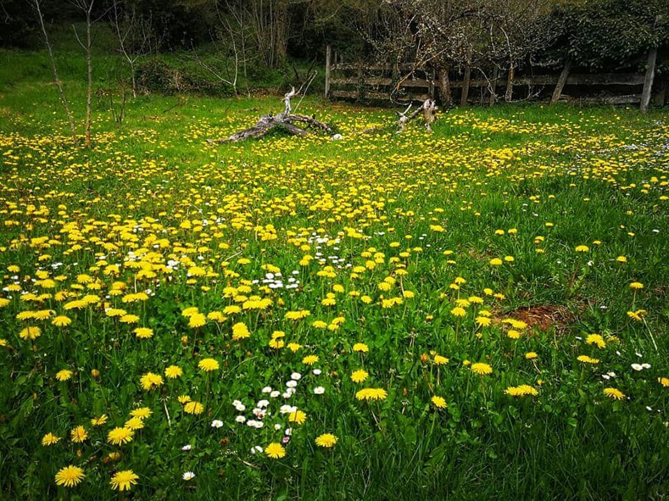 Easter Yoga Holiday in Spain: 5 Days of Nature & Renewal